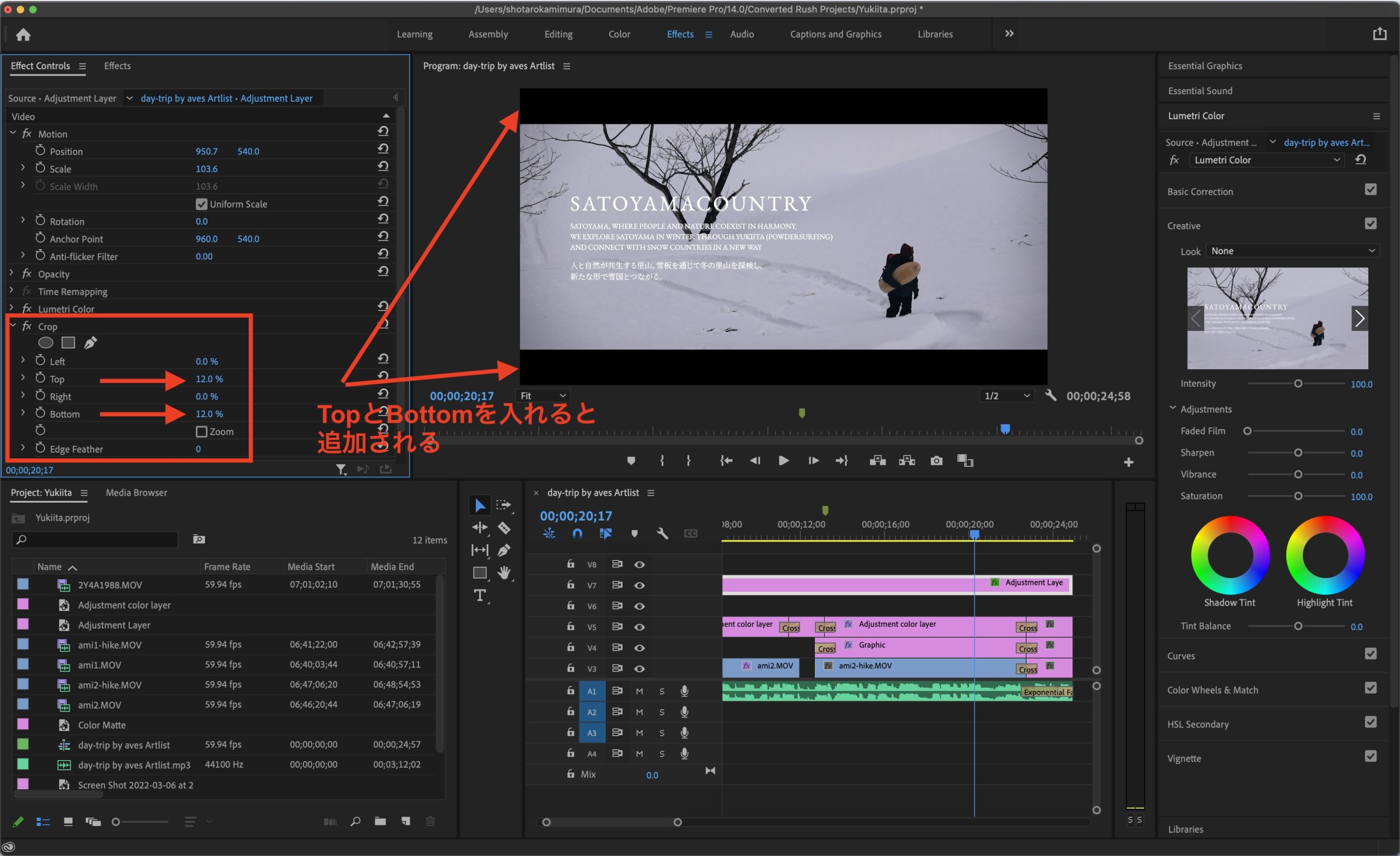  Premiere Pro SNOW NOTES