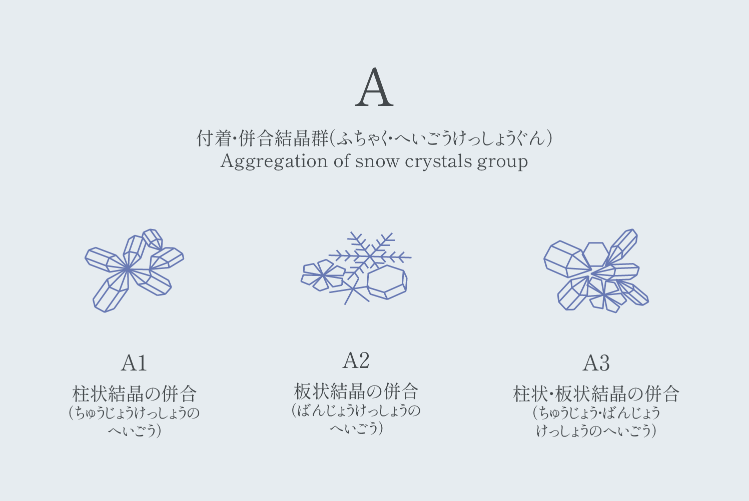 雪の結晶の種類：「グローバル分類」からみる雪の結晶121種類 | SNOW NOTES